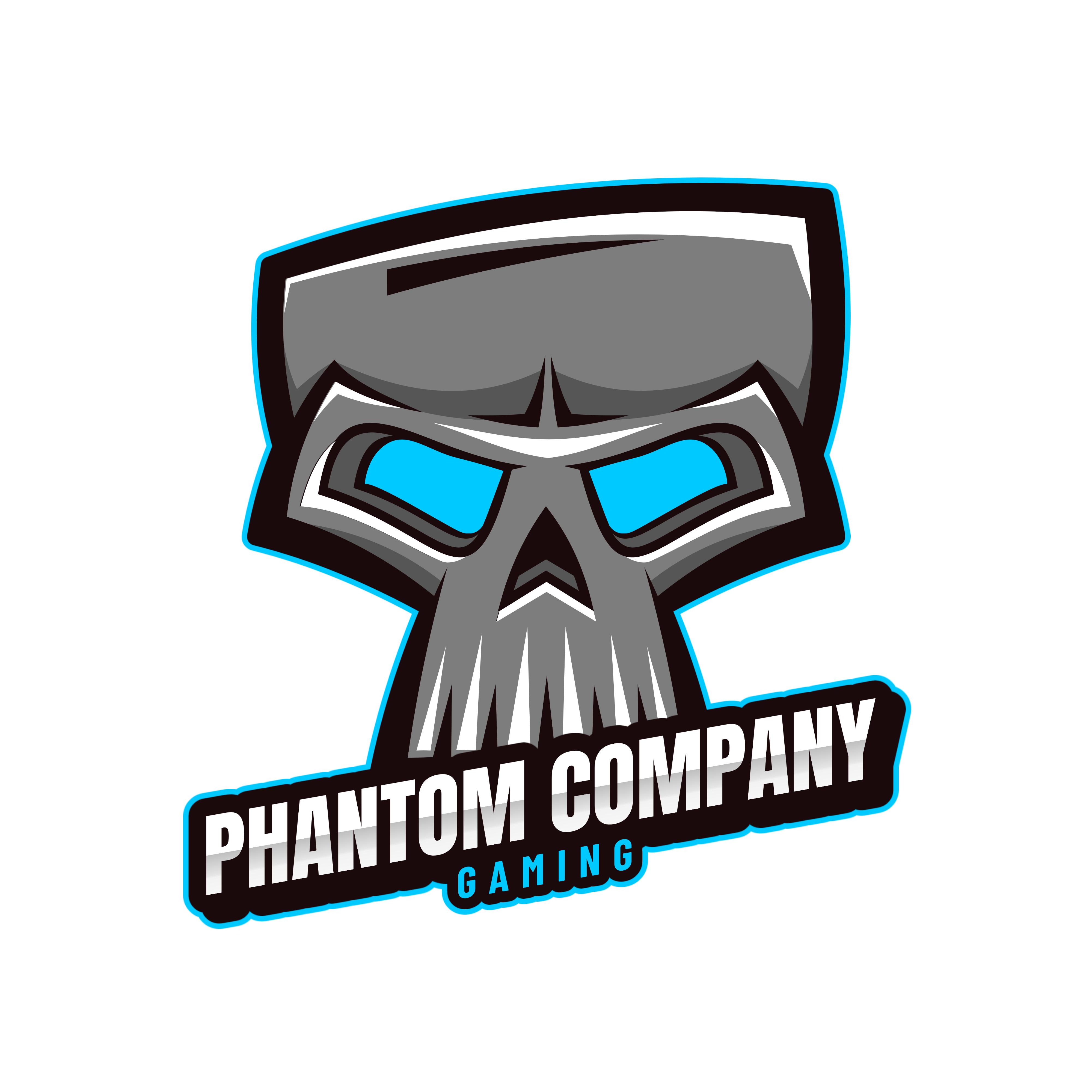 PHANTOM COMPANY GAMING | Clan Finder